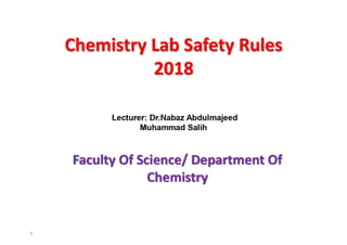Chemistry Lab Safety Rules | PDF