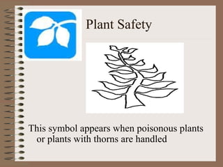 Plant Safety Symbol