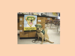 Lab safety wwyd | PPTX