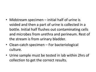 Lab sample collection techniques pathology | PPTX