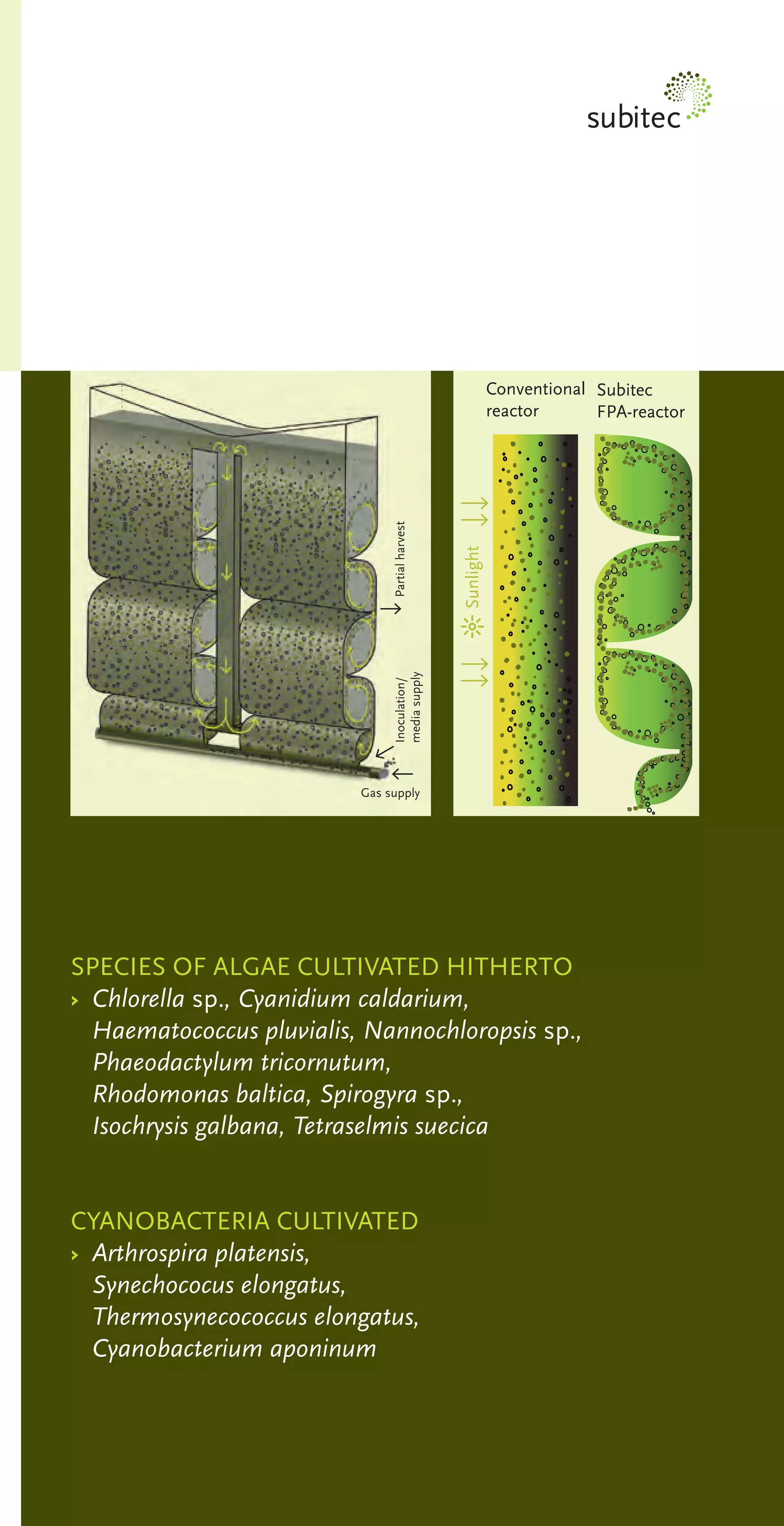 Lab Scale Photobioreactors | PDF