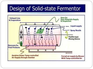 Lab scale production of bacterial enzyme.pptx | Chemistry | Science