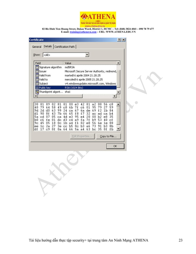 Lab security+baiso2 sniffer | PDF