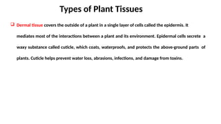 Biology-BIO241-lec8. for human healthpptx | PPTX