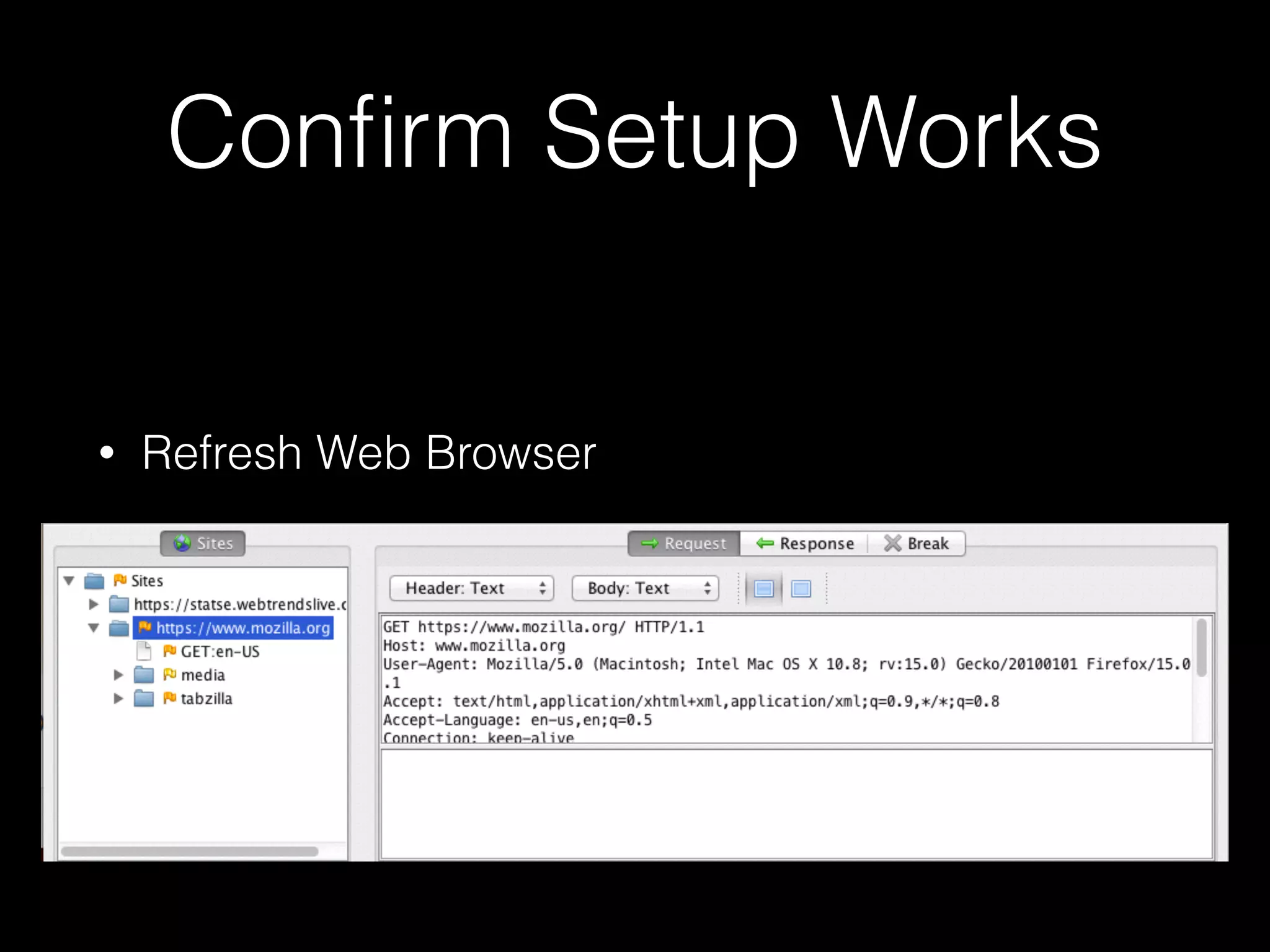 Virtual Security Lab Setup Owasp Broken Web Apps Webgoat And Zap Ppt