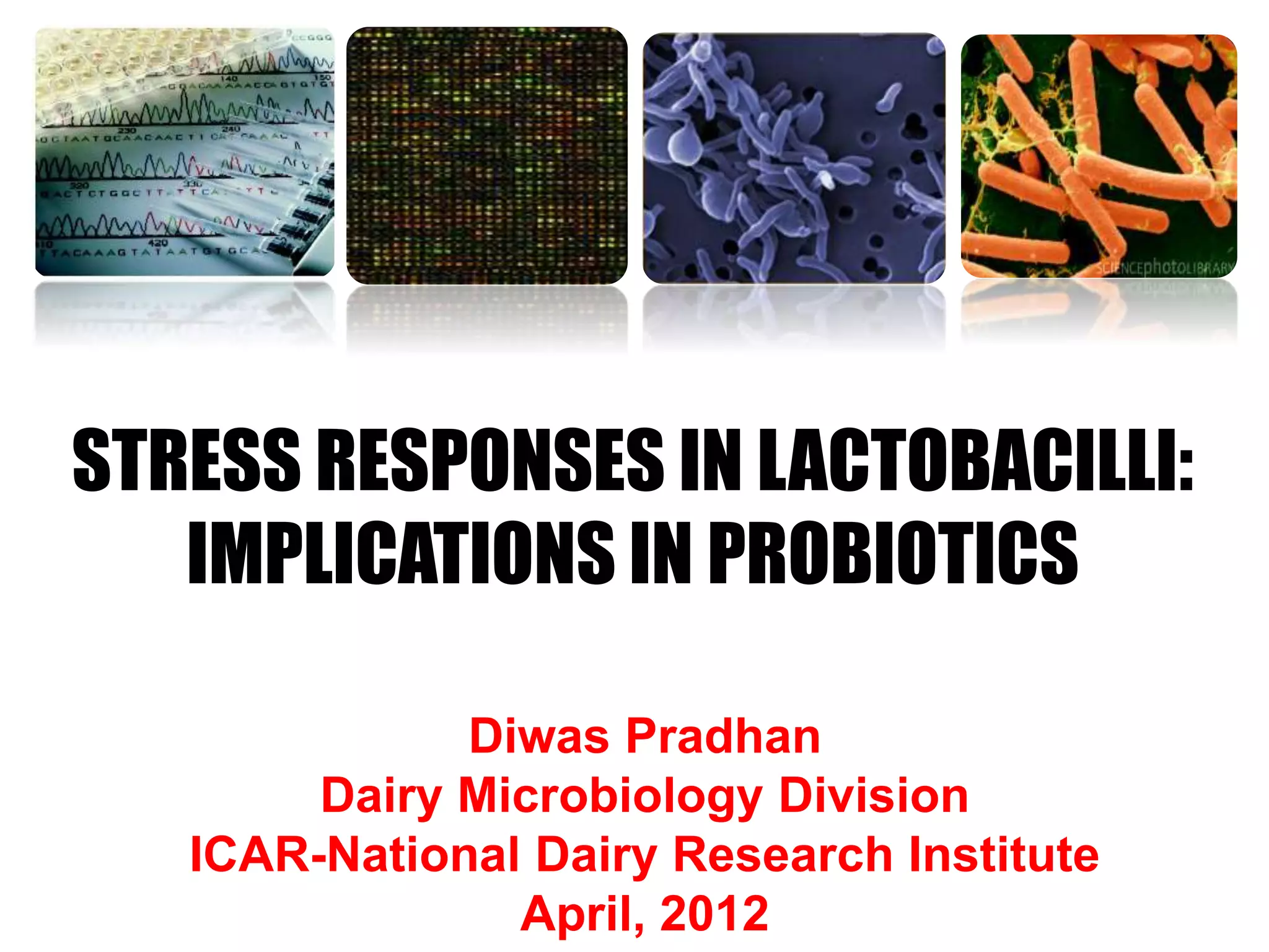 Stress response in lactic acid bacteria and its implications in ...