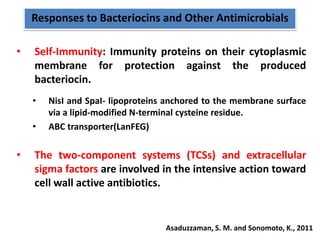 Stress response in lactic acid bacteria and its implications in ...