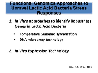 Stress response in lactic acid bacteria and its implications in ...