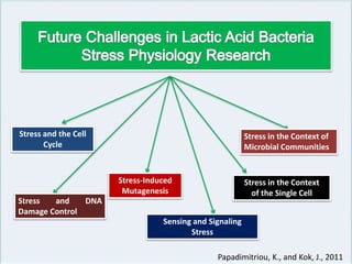 Stress response in lactic acid bacteria and its implications in ...