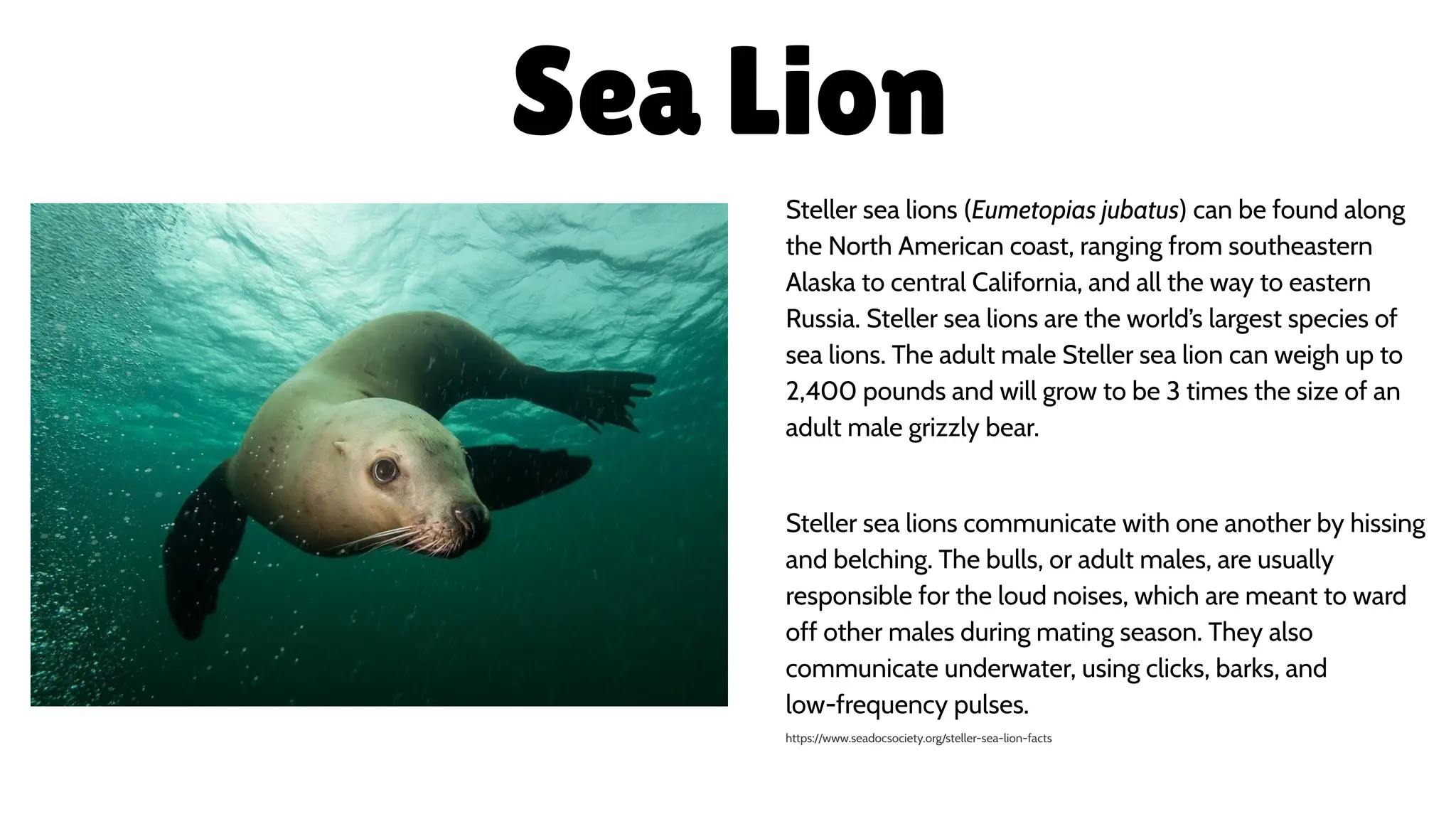 Ocean-themed Student Table Groups & Desk Tags | PPT