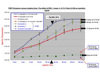 Lab talk 020710 comparing bac r_rel 1 with e coli rrel 1 for use in ...