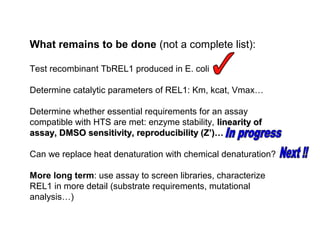 Lab talk 020710 comparing bac r_rel 1 with e coli rrel 1 for use in ...