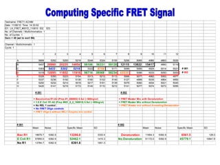 Lab talk 020710 comparing bac r_rel 1 with e coli rrel 1 for use in ...