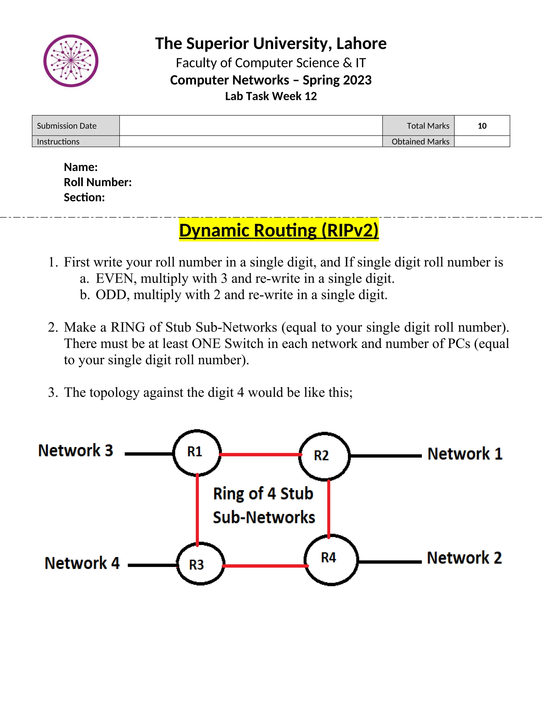 Lab Task # 12 lab tasks for the dtudents on computer networks | DOCX