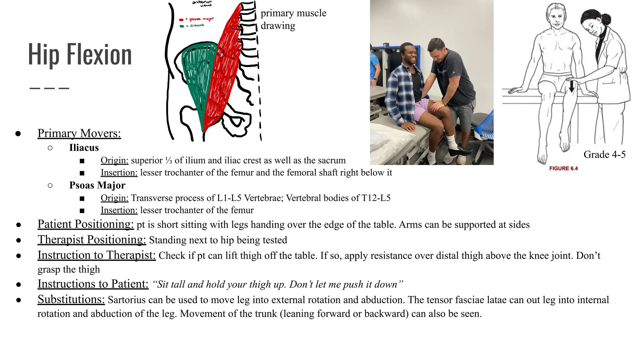 Manual muscle test for ceruval thoracic and lumbar | PPT
