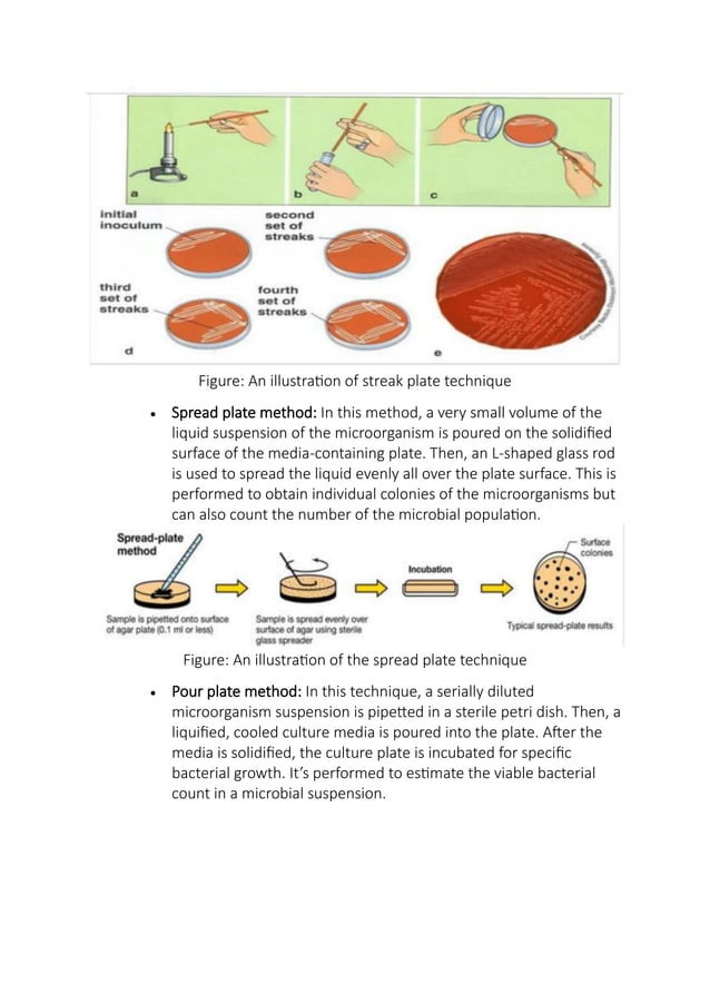 lab techniques in microbiology to study the microbes | PDF