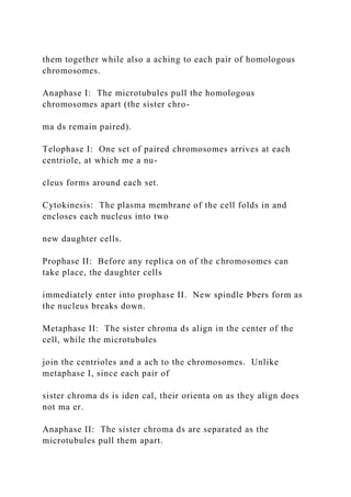 Lab TemplateWeek 4 MeiosisSubmitted by your name here.docx