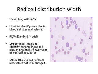 Lab tests in hematology.pptx
