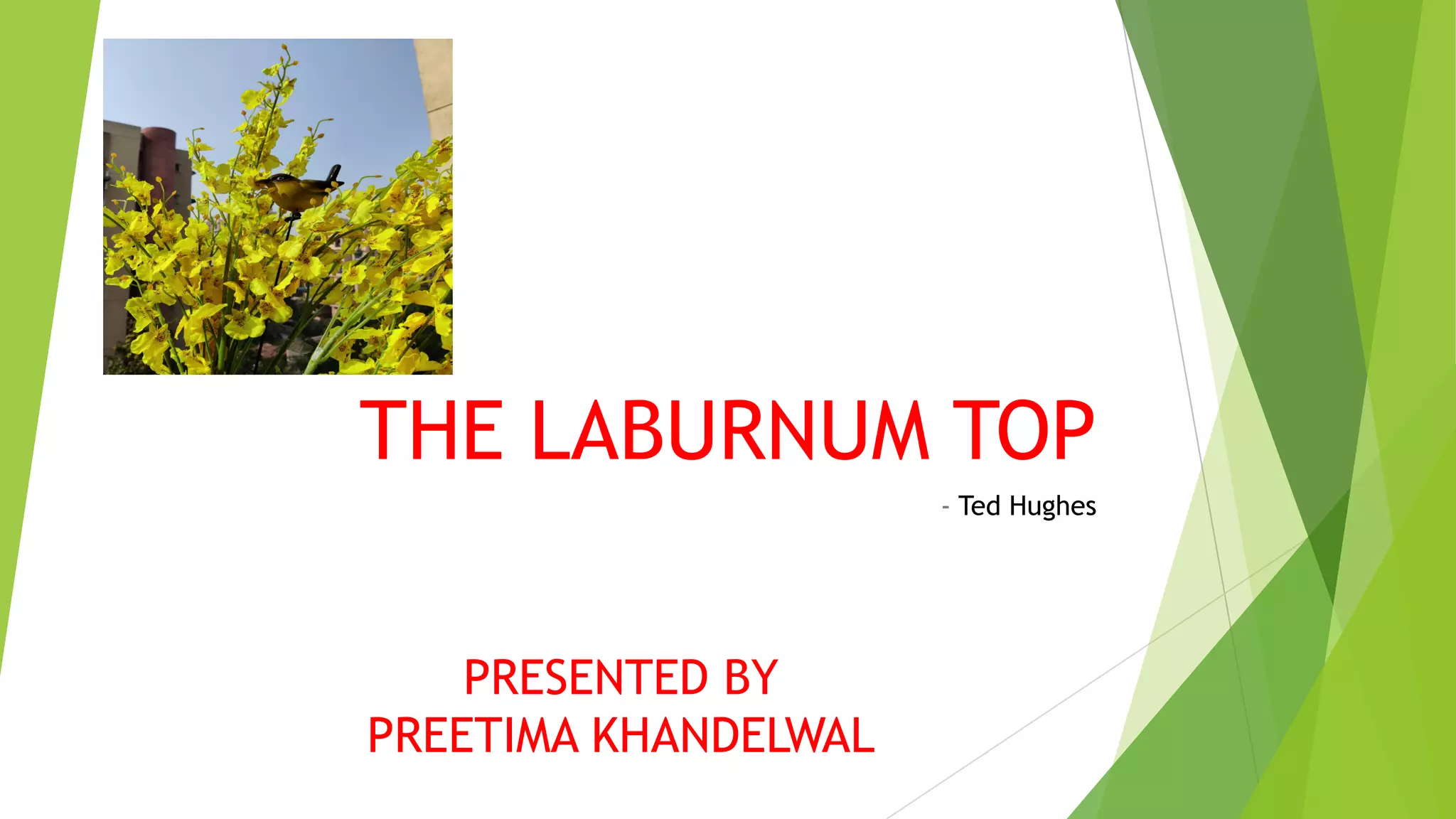 laburnum-top-explanation.pdf