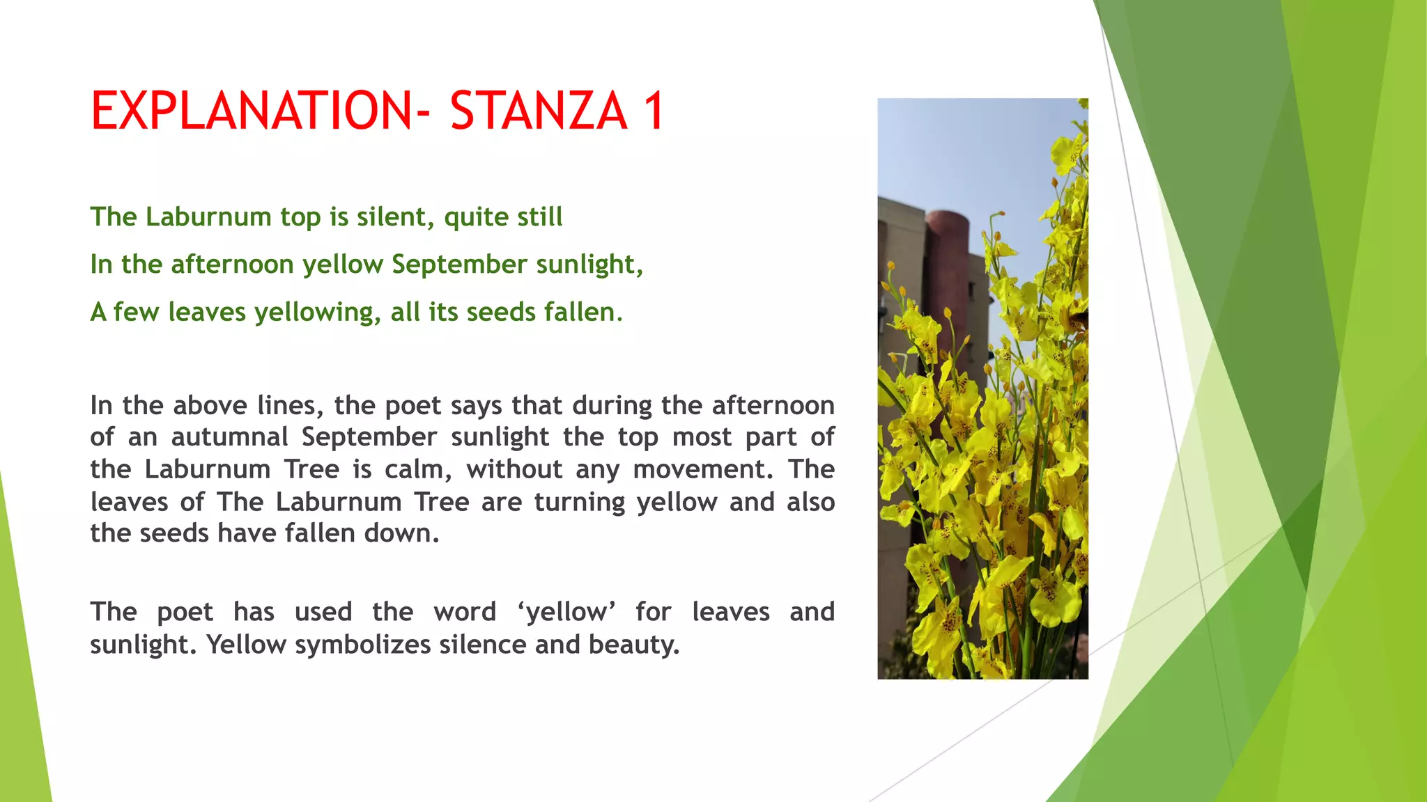 laburnum-top-explanation.pdf