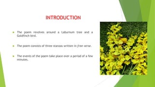 laburnum-top-explanation.pdf