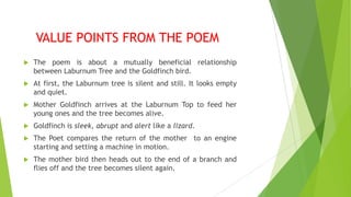 laburnum-top-explanation.pdf