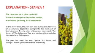 laburnum-top-explanation.pdf