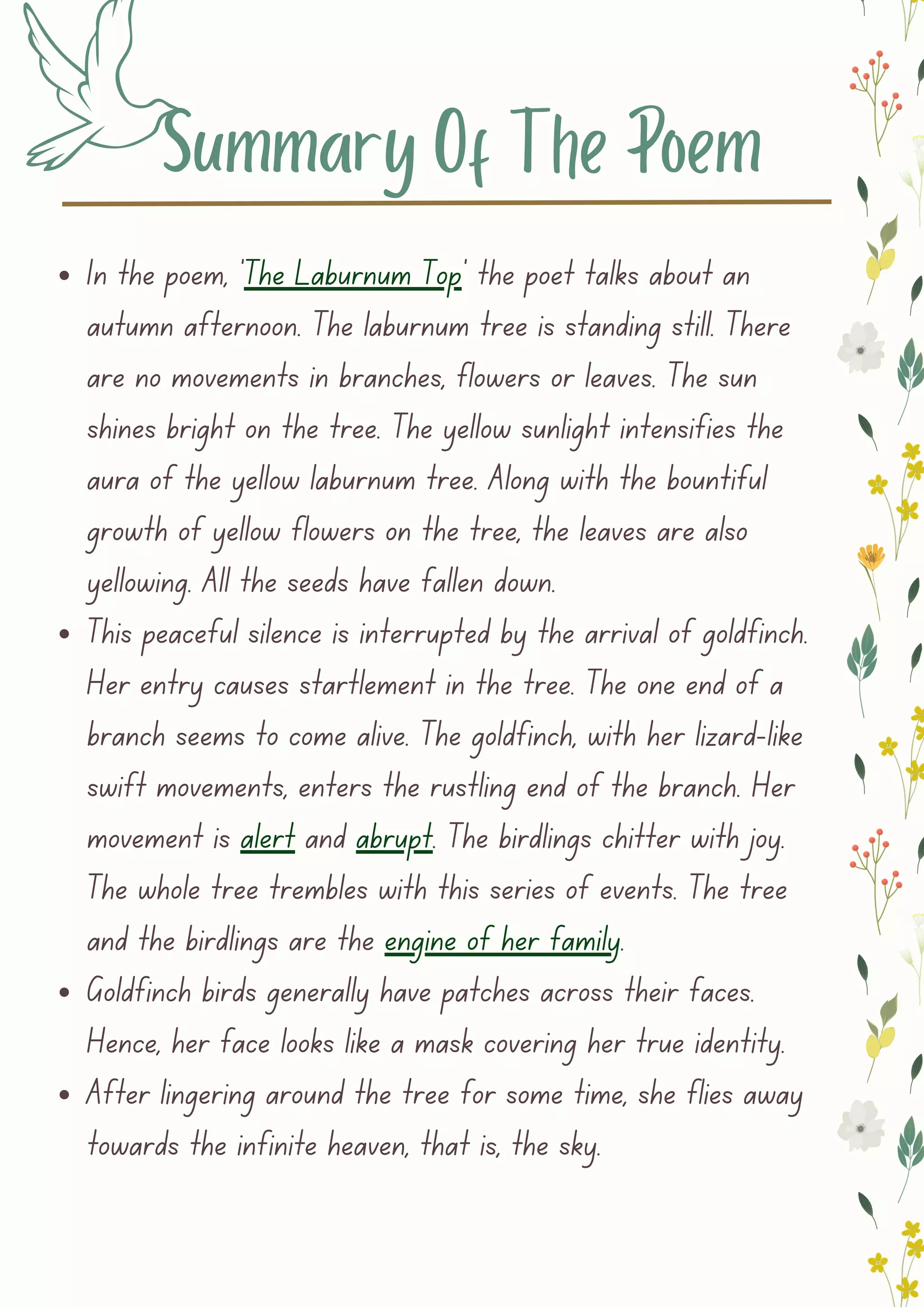 LABURNUM TOP.pdf