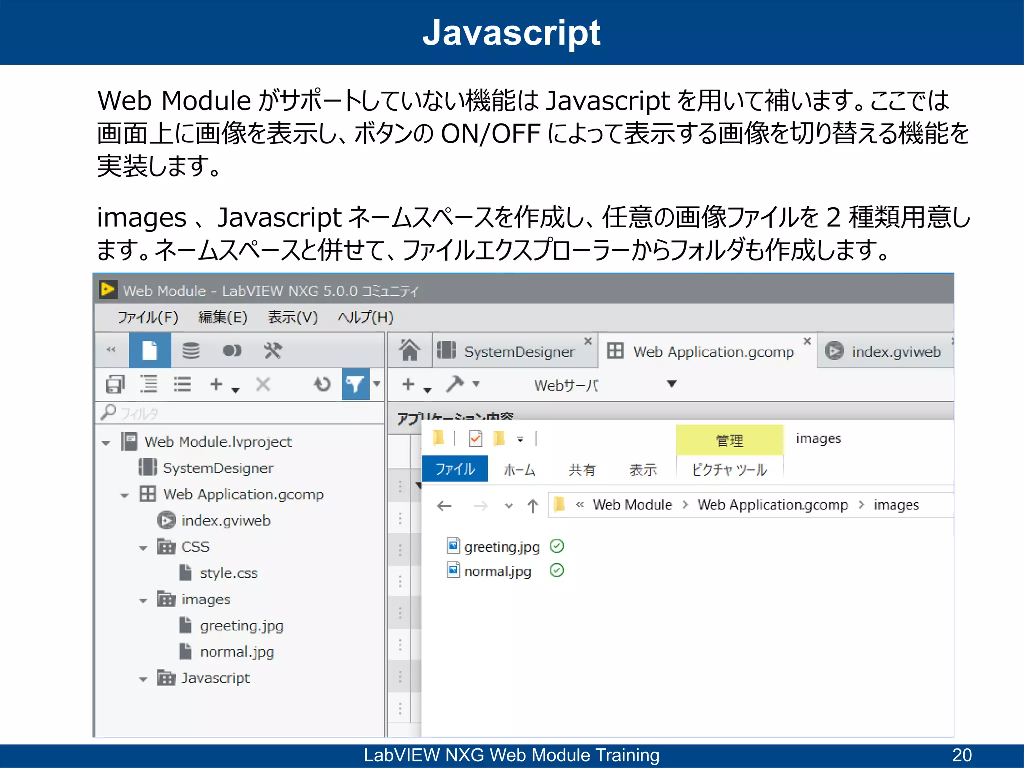 Labview Nxg Web Module Training Slide Pdf Web Development Internet