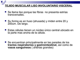 musculo histologico | PPT