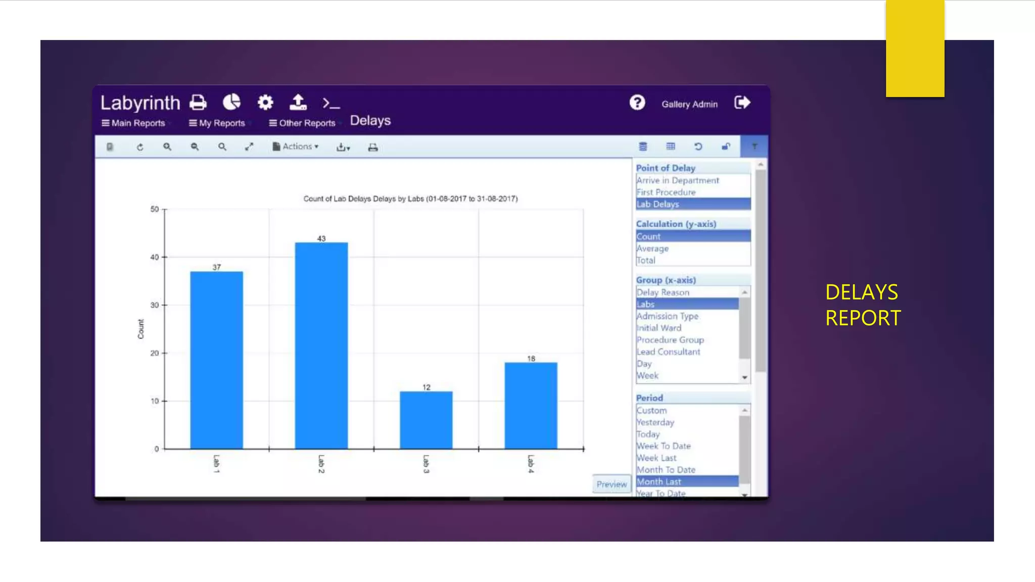 Labyrinth Software screens | PPSX