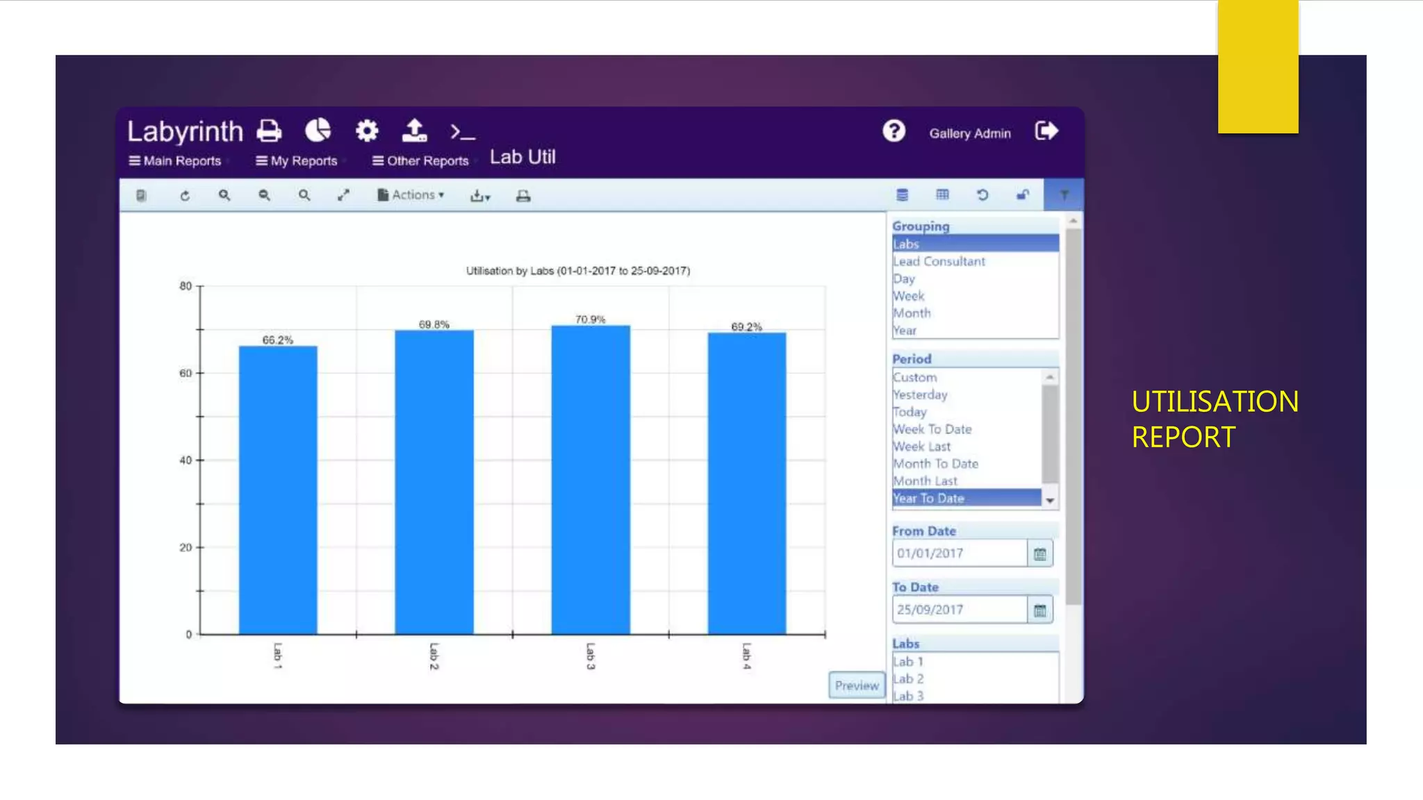 Labyrinth Software screens | PPSX