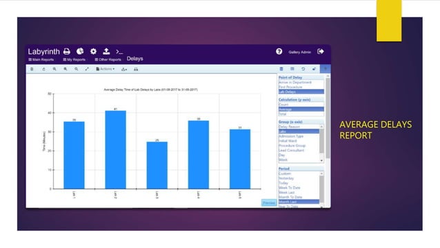 Labyrinth Software screens | PPT