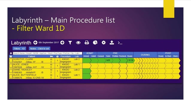 Labyrinth Software screens | PPT