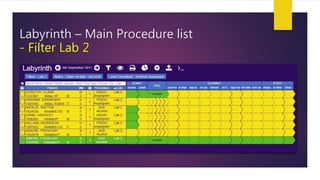 Labyrinth Software screens | PPSX