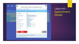 Labyrinth Software screens | PPSX