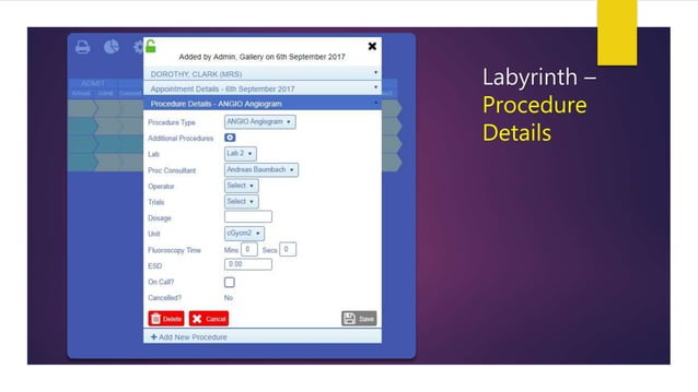 Labyrinth Software screens | PPT