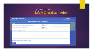 Labyrinth Software screens | PPSX
