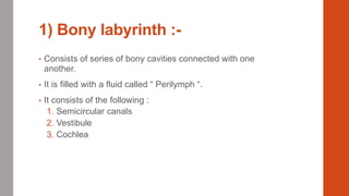 Labyrinthitis | PPTX