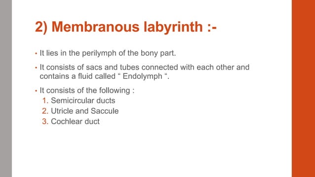 Labyrinthitis | PPTX | Ear, Nose and Throat Conditions | Diseases and ...