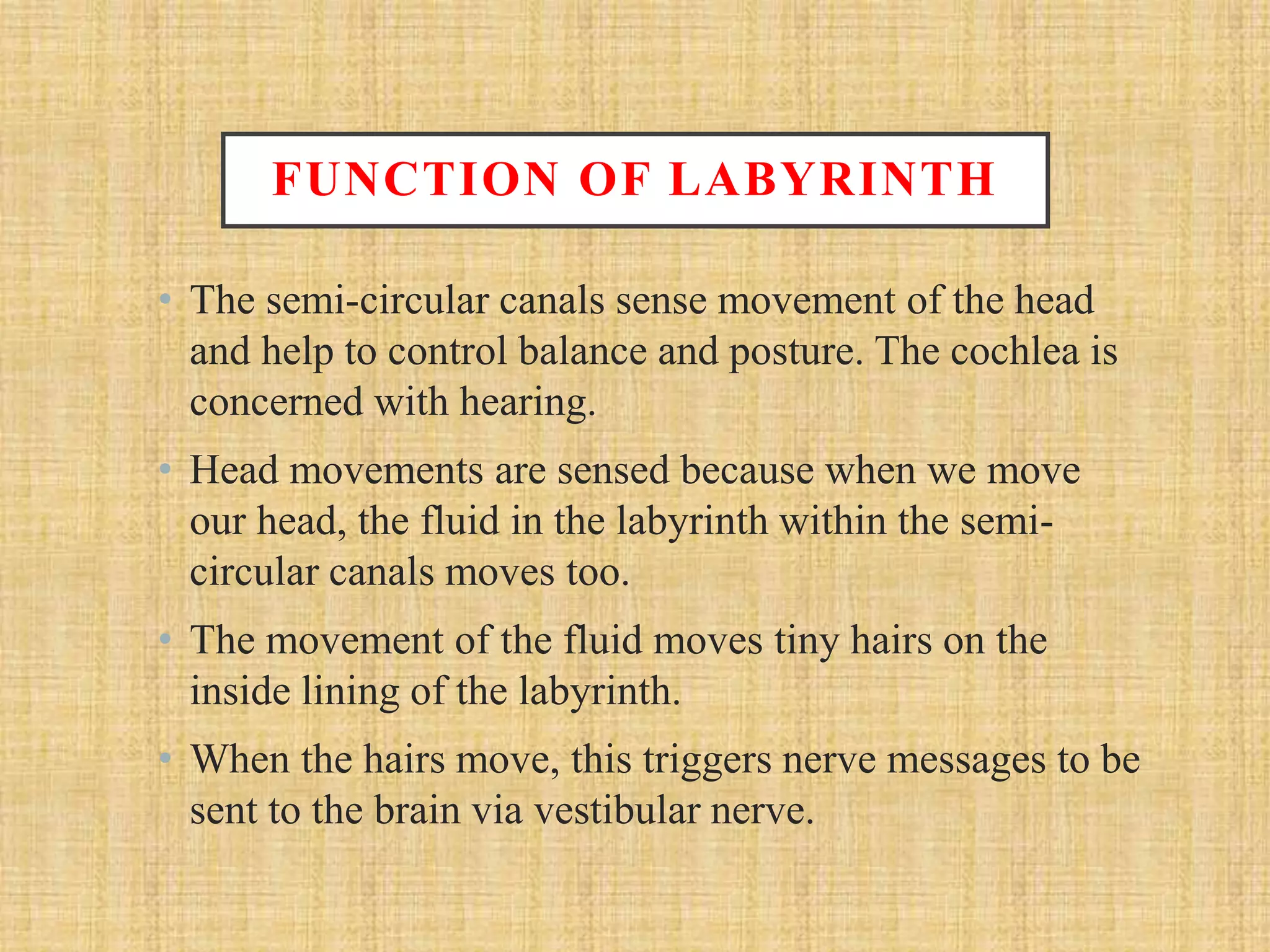 Labyrinthitis | PPTX