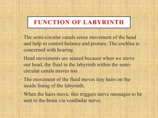 Labyrinthitis | PPTX