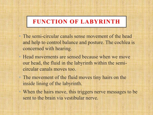 Labyrinthitis | PPTX | Ear, Nose and Throat Conditions | Diseases and ...