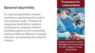 Labyrinthitis.pptx | Ear, Nose and Throat Conditions | Diseases and ...