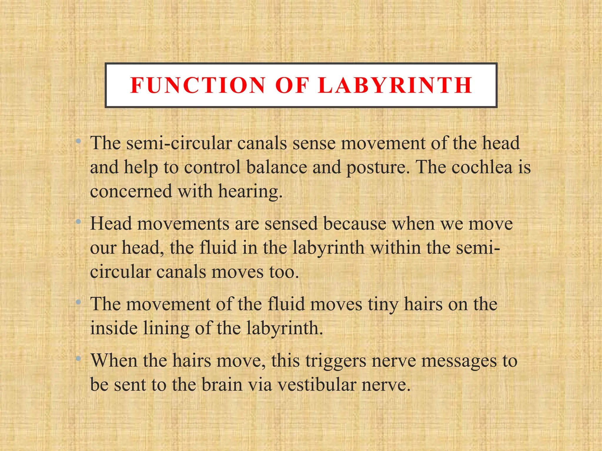 labyrinthitis and nursing management .pptx