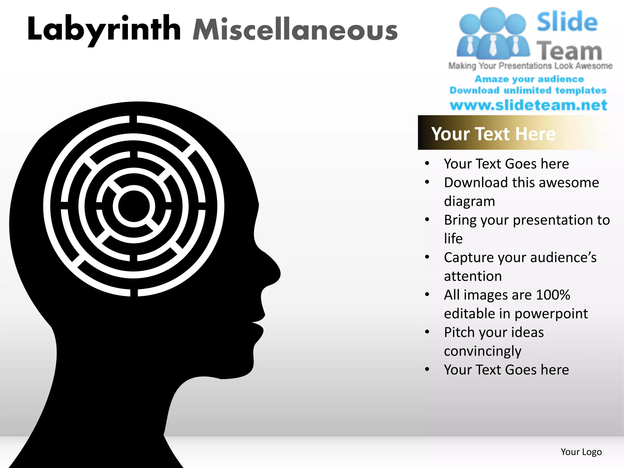 Labyrinth misc powerpoint presentation slides ppt templates | PPT