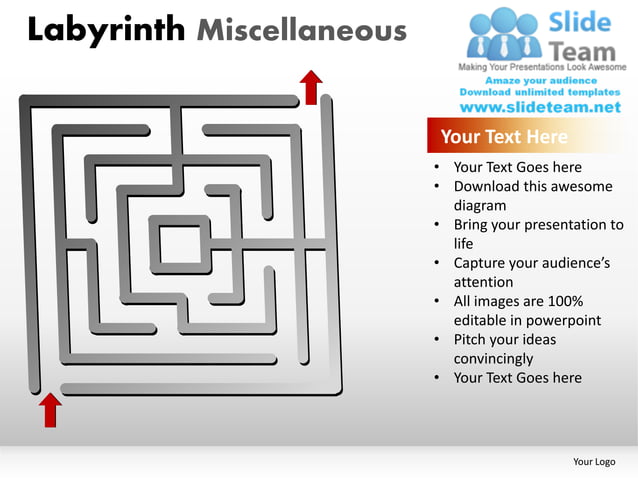 Labyrinth misc powerpoint presentation slides ppt templates | PPT
