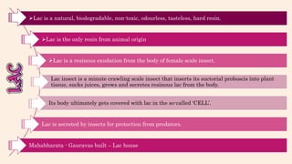 Lac insect Byproducts | PPTX