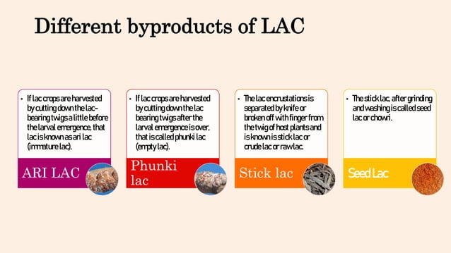 Lac insect Byproducts | PPTX