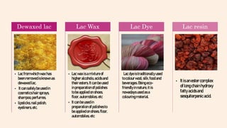 Lac insect Byproducts | PPTX